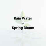 Black Tie Barn - Your Favorite Candles & Supplies