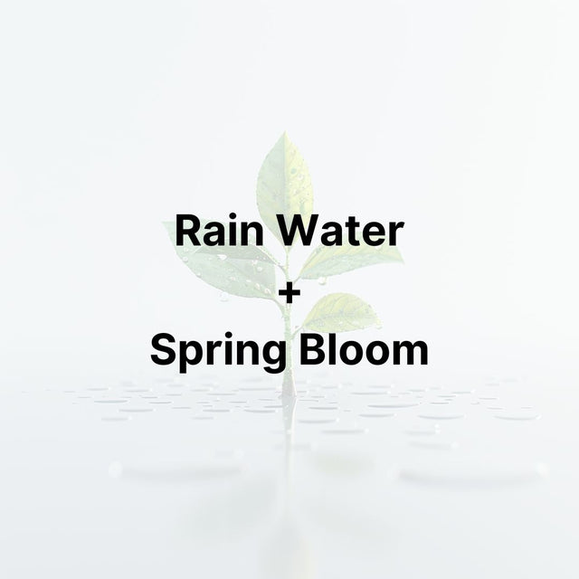 Black Tie Barn - Your Favorite Candles & Supplies